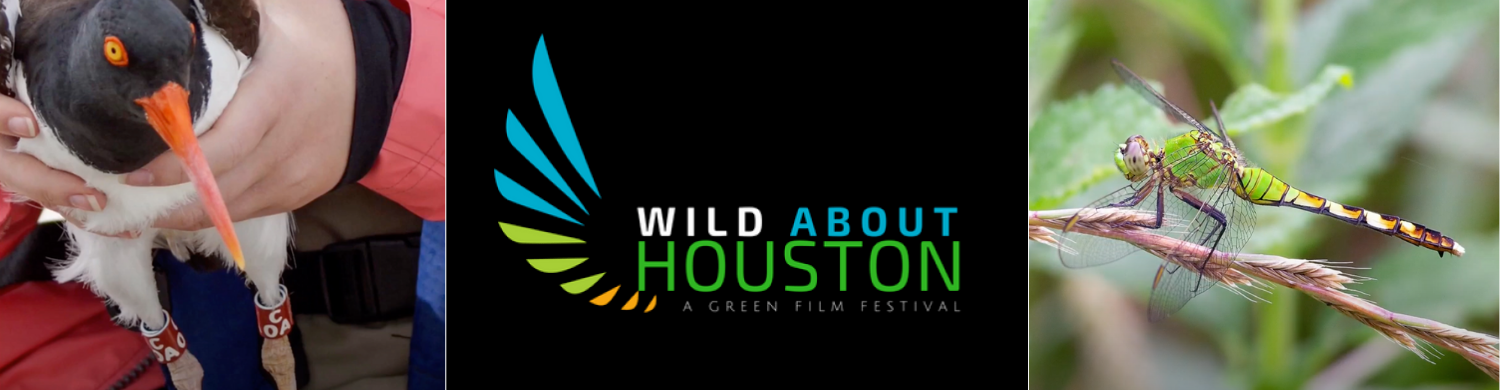 Houston Environmental News Update October 21, 2020 – Citizens ...